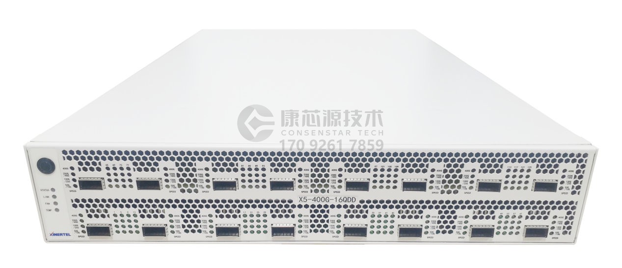 信而泰400G RoCE-网络测试仪-武汉康芯源技术有限公司-网络分析仪测试仪打流仪损伤仿真仪-思博伦IXIA销售租赁维修回收